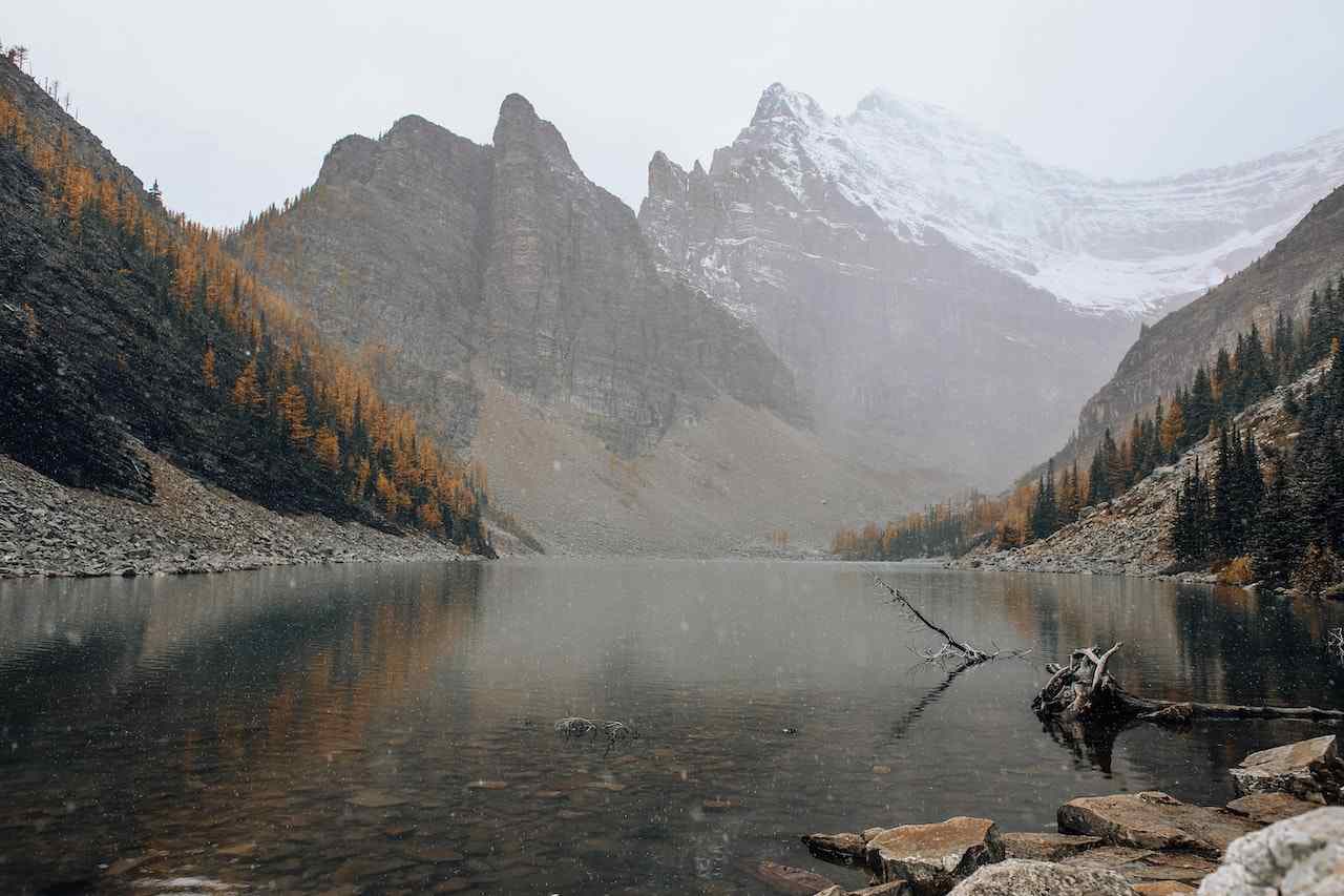 Navika Sharma - Novus Immigration Services | Canada Immigration News