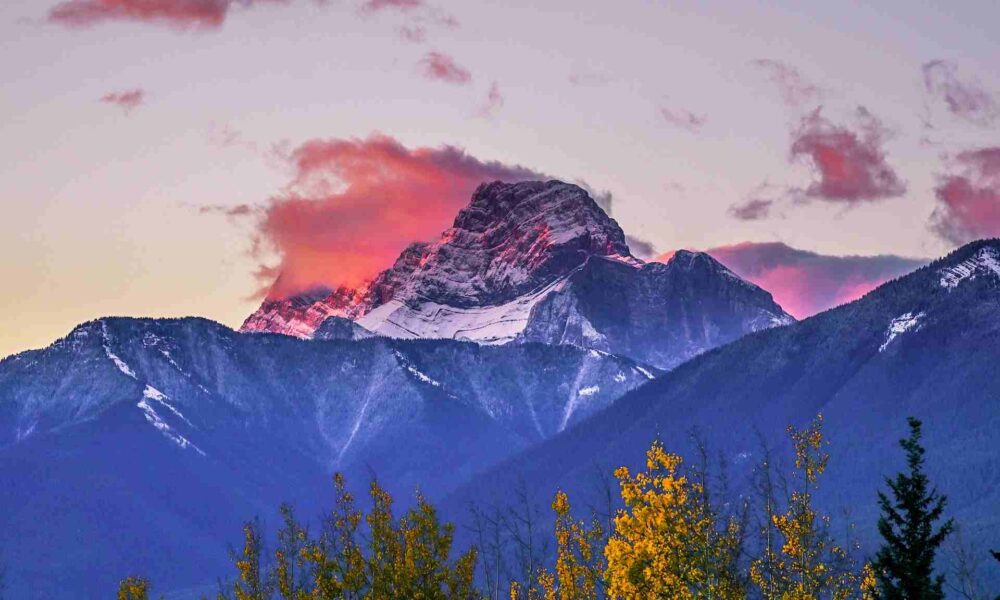 Phil Mooney – VSN Immigration - Canada Immigration News | Canadian ...