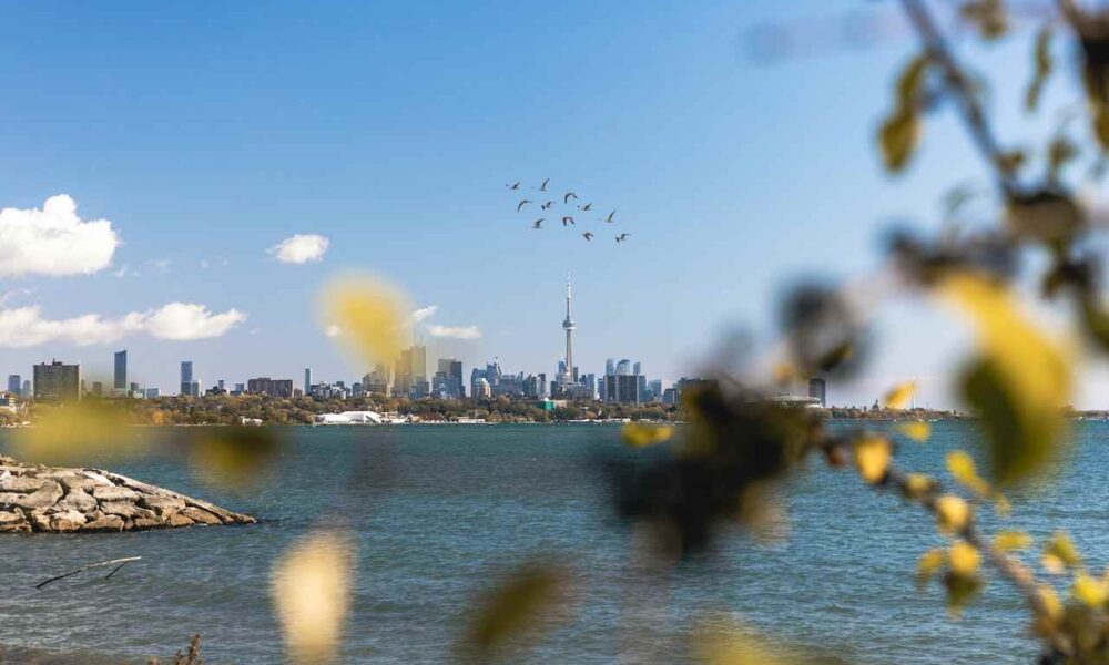 Express Entry Draw Under The Human Capital Priorities Stream