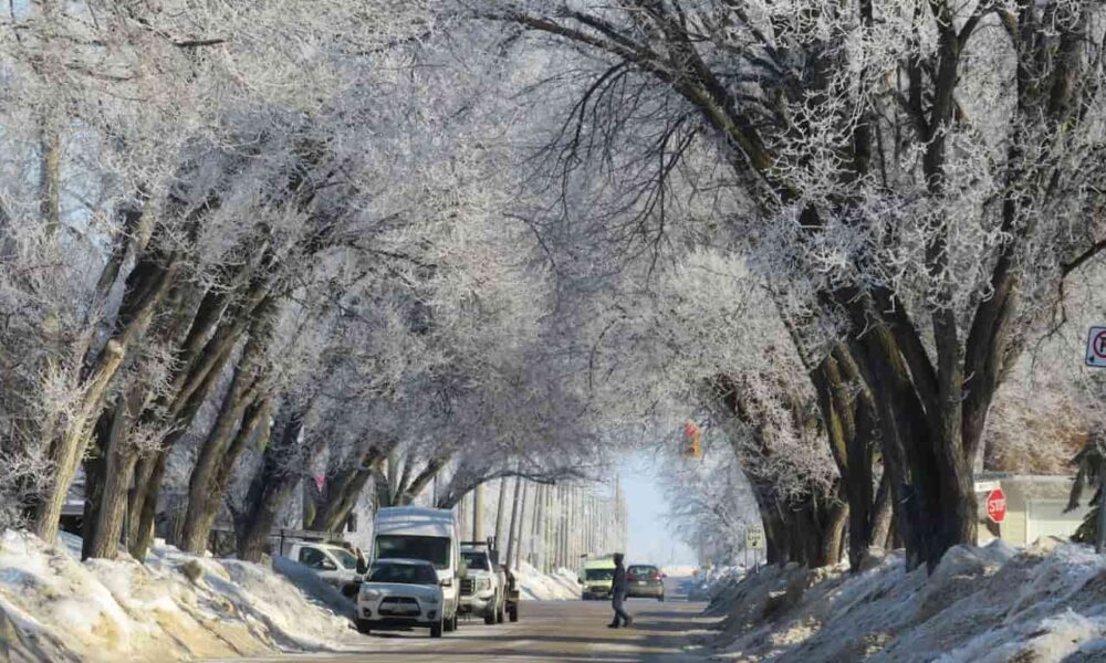 Top Immigration Consultants In Canada