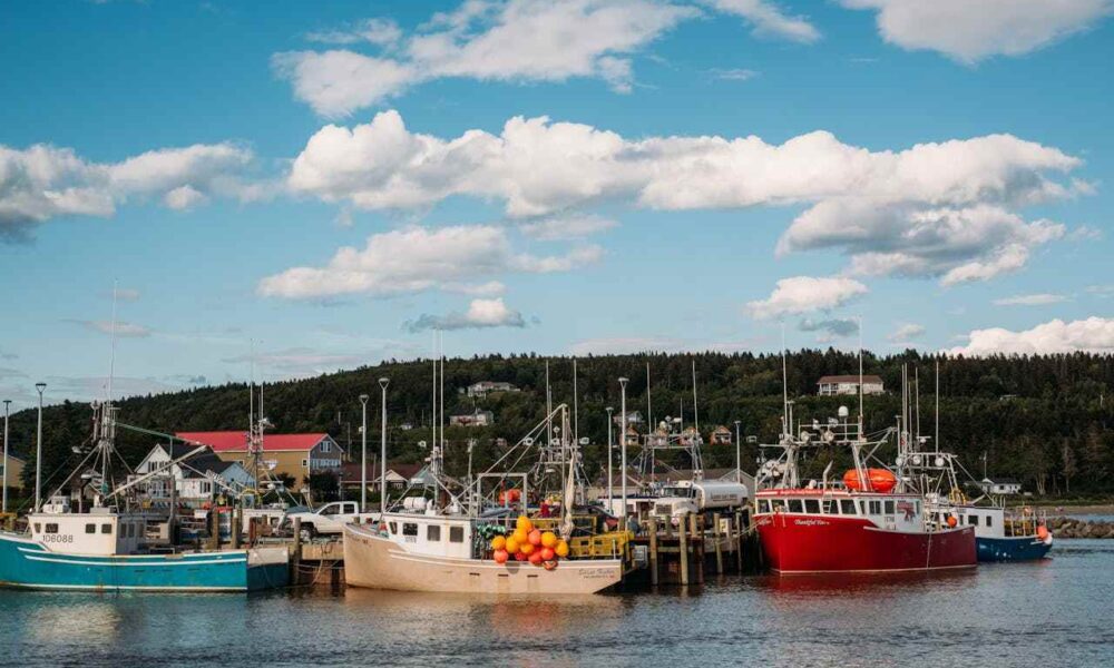 New Brunswick’s First 2025 Immigration Draws: 498 Candidates Invited