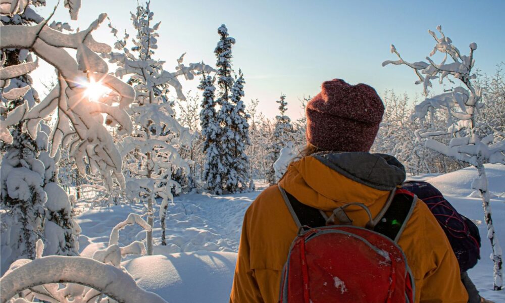 Why More Americans With Canadian Roots Are Seeking Citizenship?