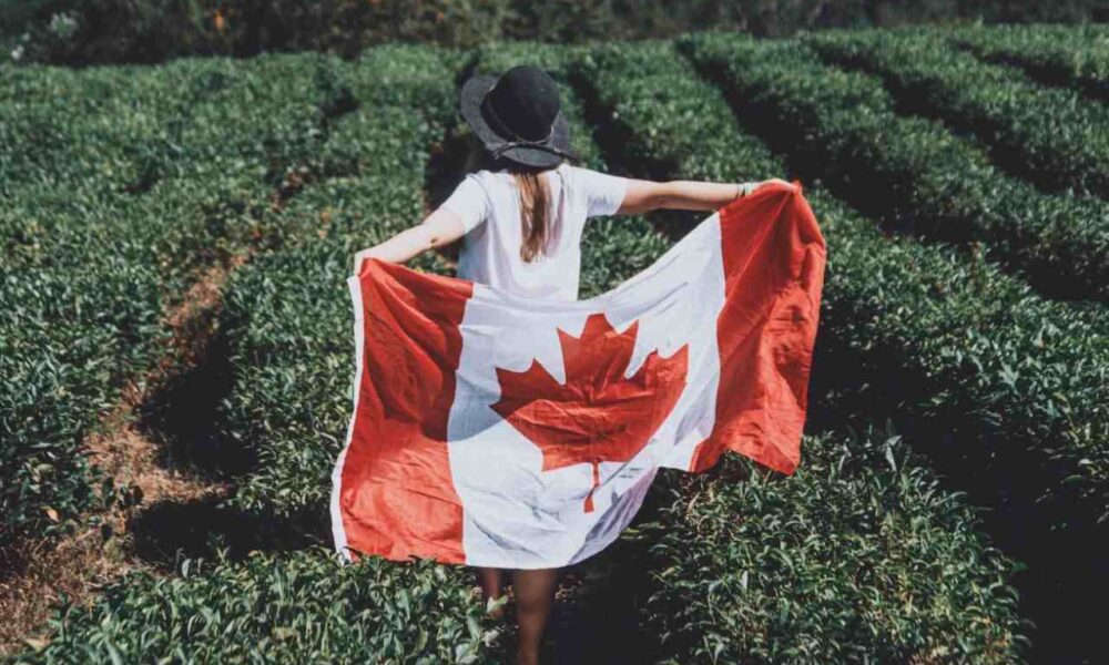 IRCC Updates Use Of Representative Form: Key Changes And What ...