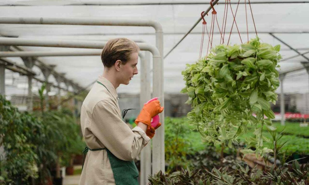 Affordable Canadian Provinces Offering Top-Quality Living In 2025